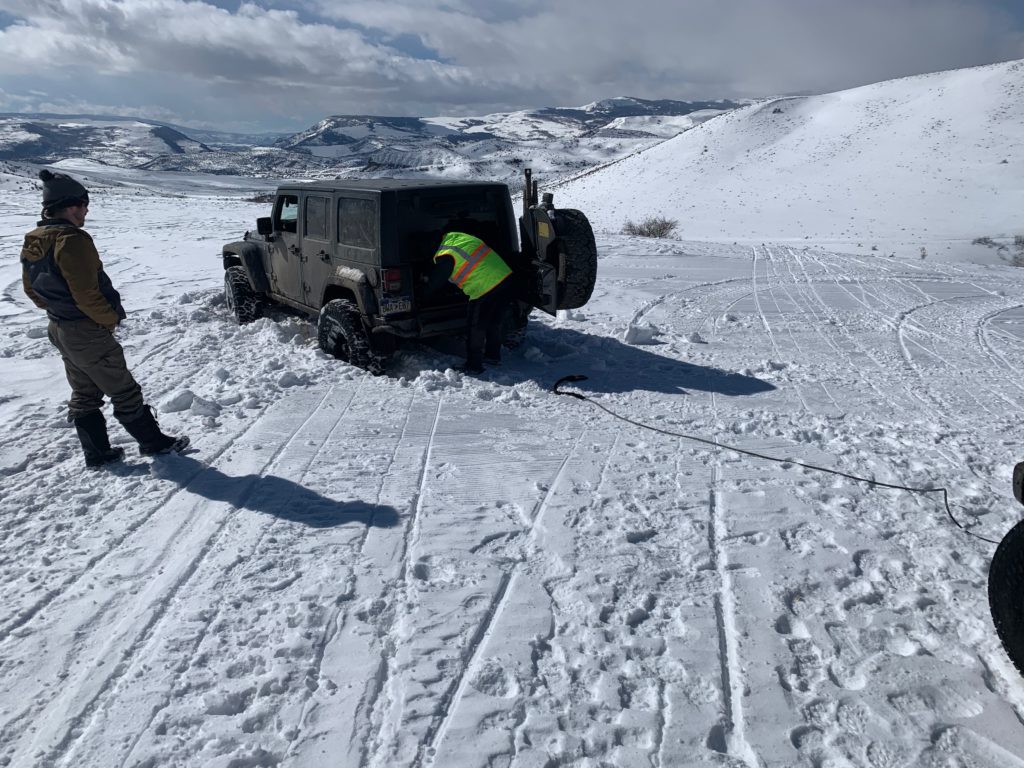 Meet the Group Leaders