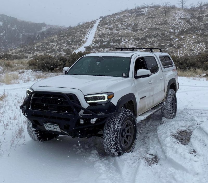 Meet the Group Leaders